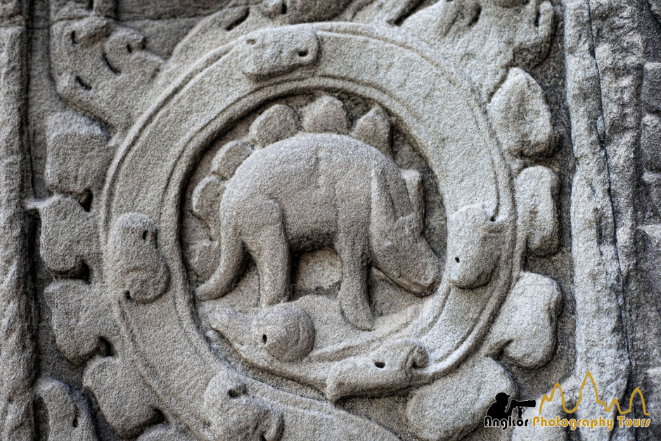 Dinosaur-Ta-Phrom | Angkor Wat Photography Tours Siem Reap Cambodia
